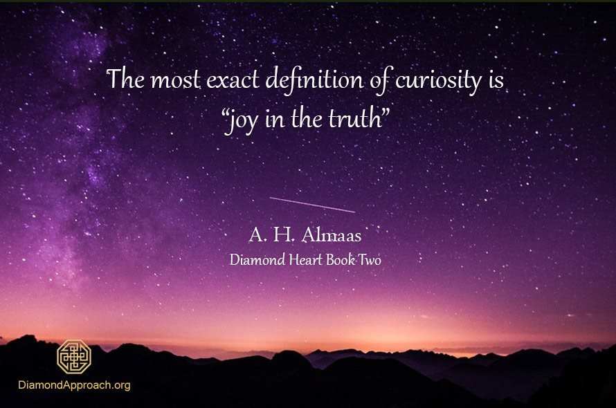 Why are Curiosity and Inquiry Important?