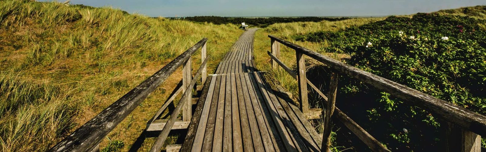 Spiritual Trap: How a Spiritual Path Can Ensnare Us - Diamond Approach ...