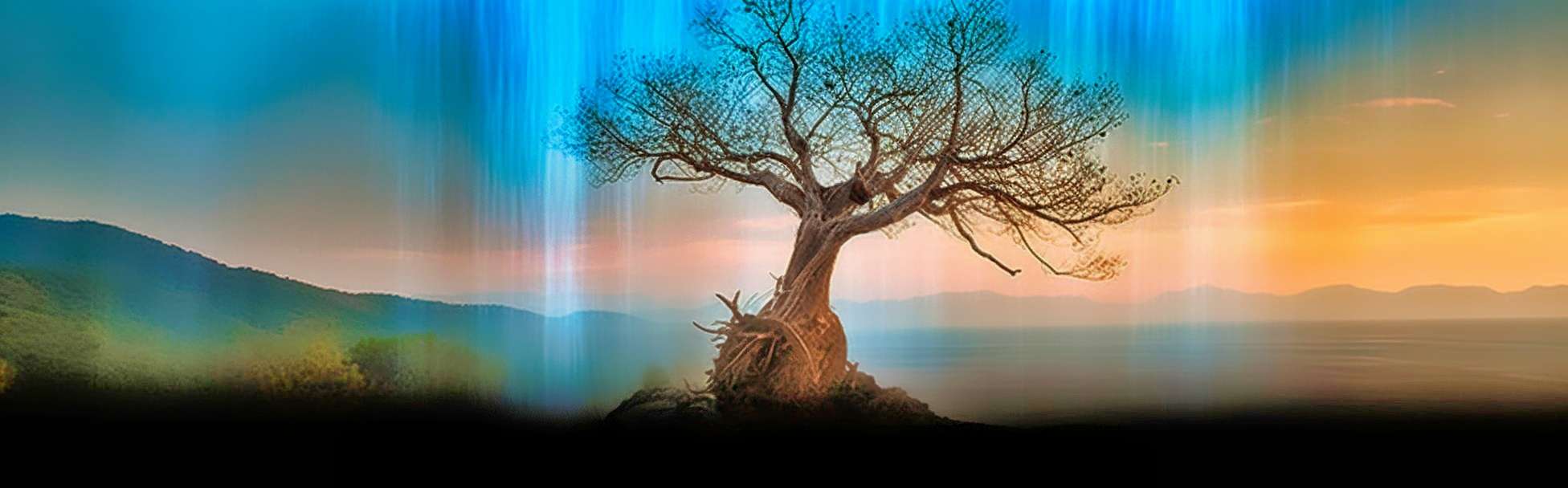 Essence: Our True Spiritual Nature - Diamond Approach Sacramento/Folsom CA
